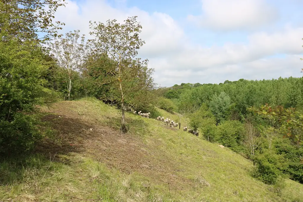 Le Coteau et le Marais de Baybelle - Conservatoire d'espaces naturels ...